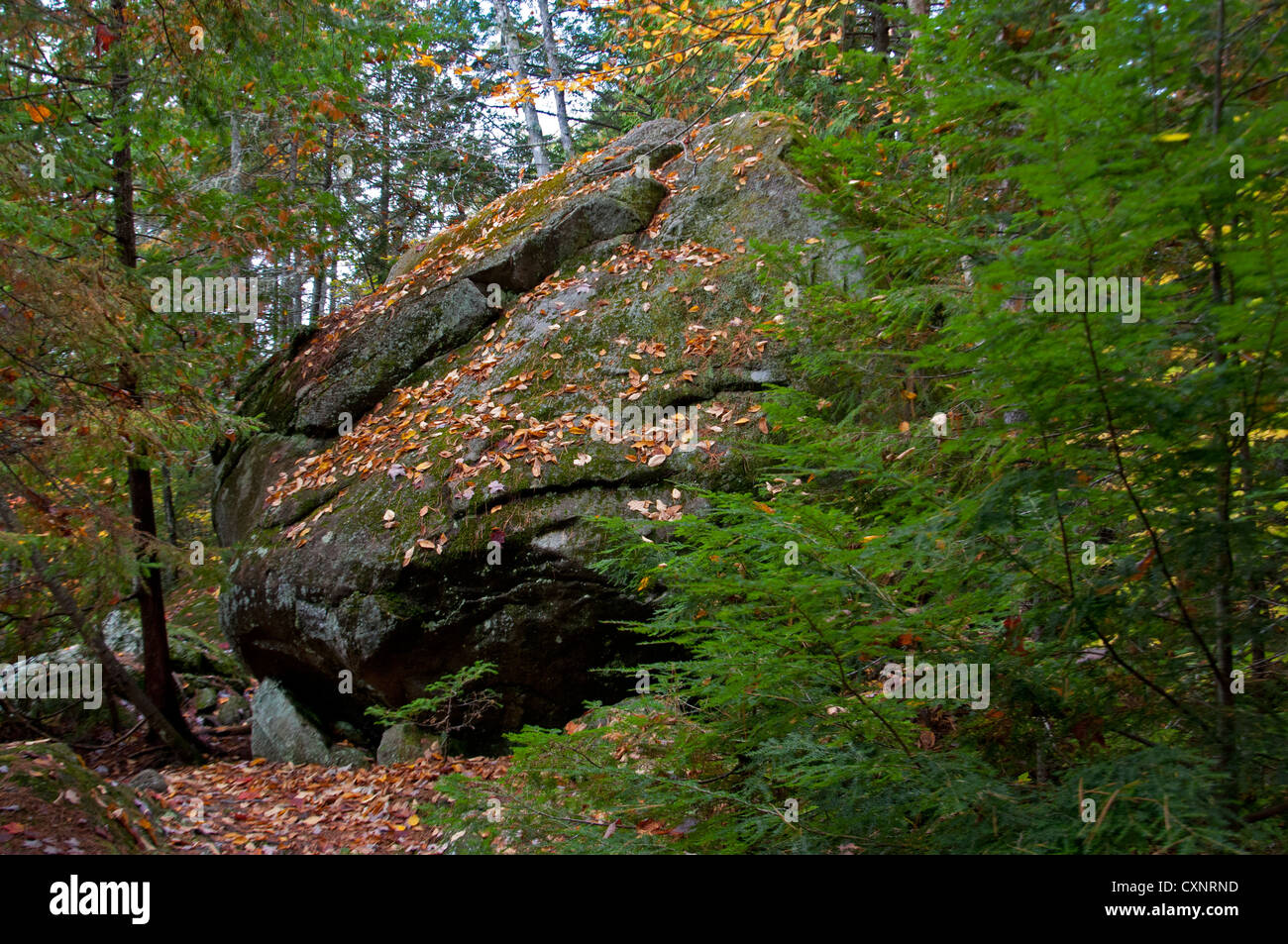 A view of a massive boulder near Doncaster Falls, Quebec Stock Photo ...