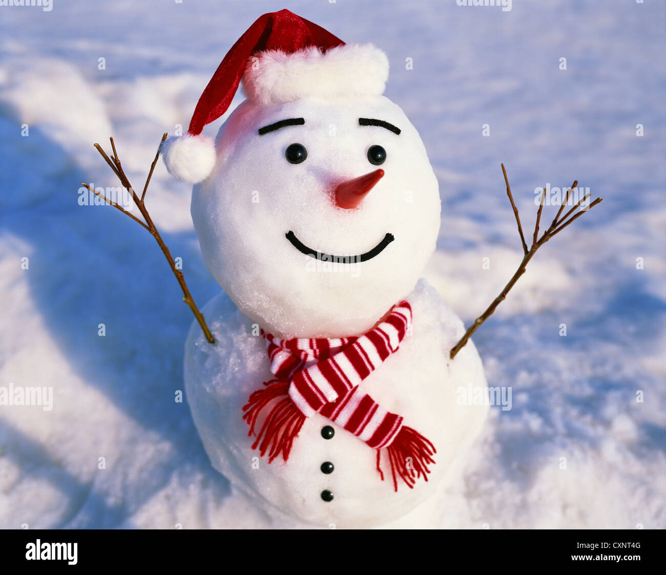 Snowman, Hokkaido, Japan Stock Photo - Alamy