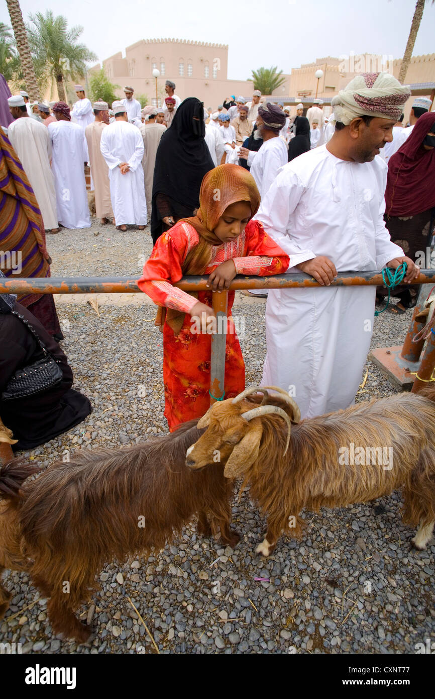 Sheep oman hi-res stock photography and images - Alamy