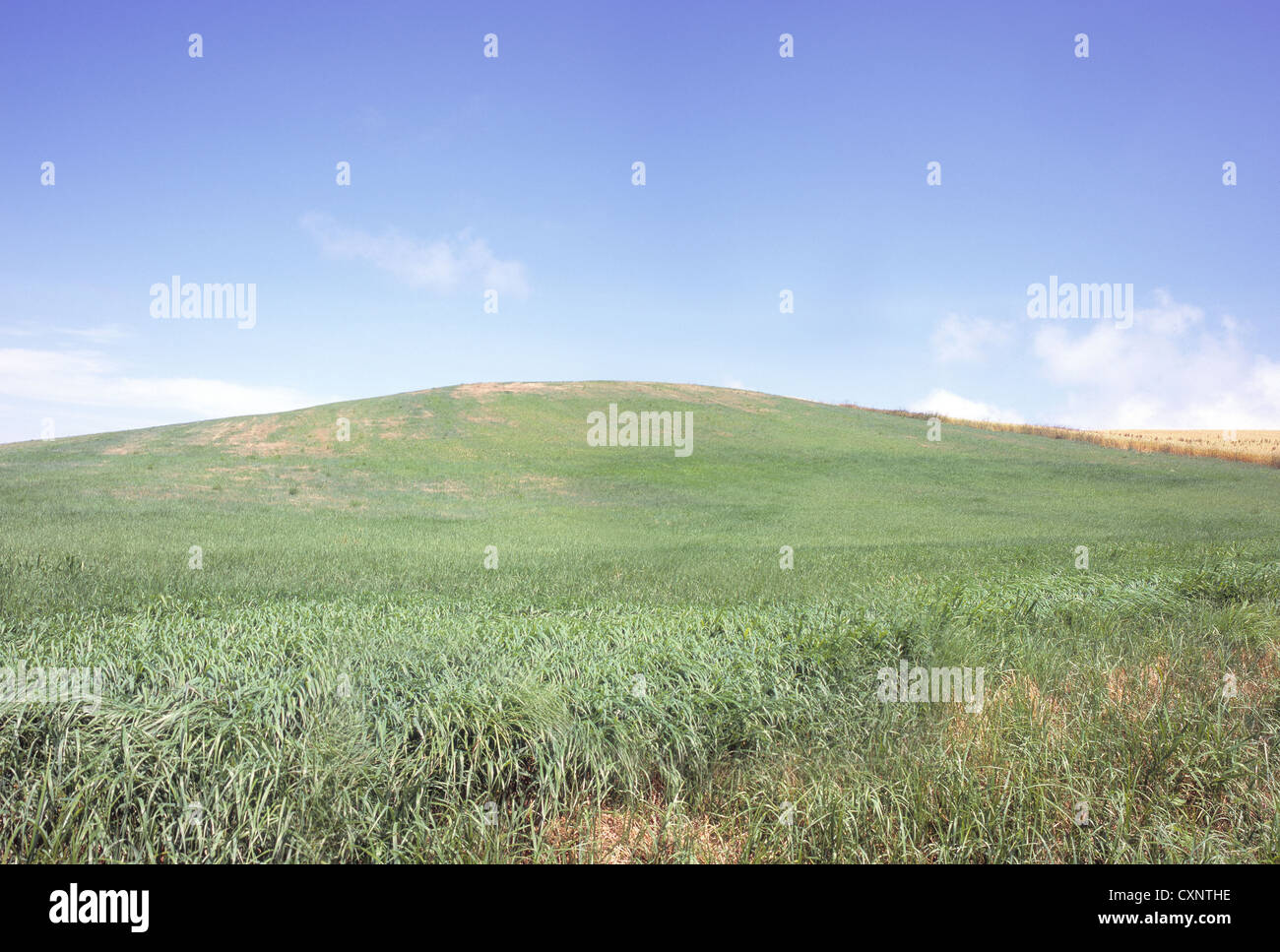 Green fields japan hi-res stock photography and images - Alamy