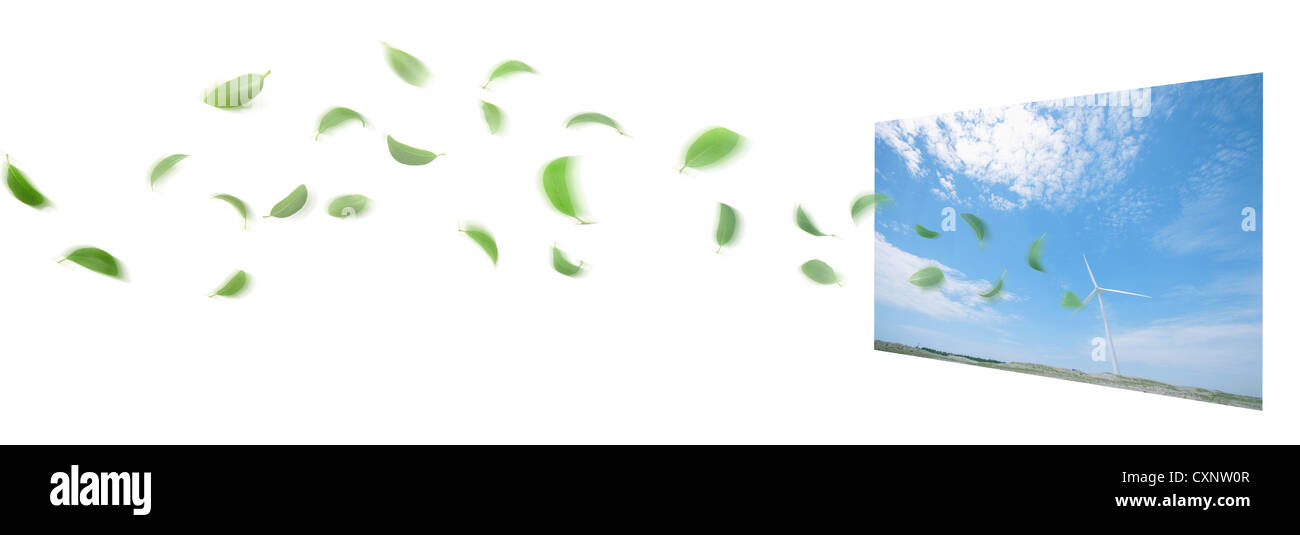 Floating Leaves And Screen Stock Photo - Alamy