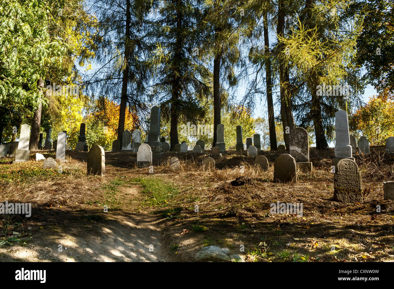 forgotten and unkempt Jewish cemetery with the strangers Stock Photo ...
