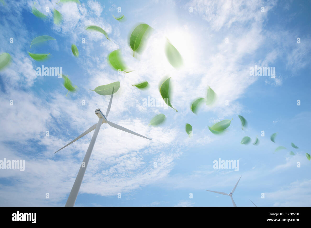 Floating Leaves Against Blue Cloudy Sky Stock Photo - Alamy