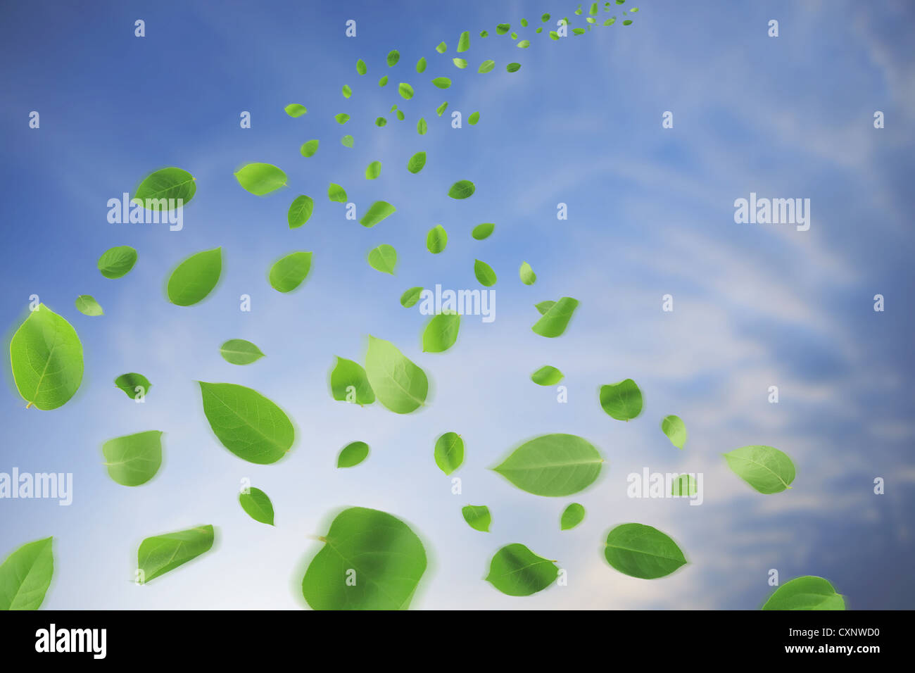 Falling leaves motion hi-res stock photography and images - Alamy