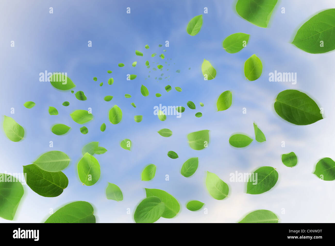 Falling leaves motion hi-res stock photography and images - Alamy