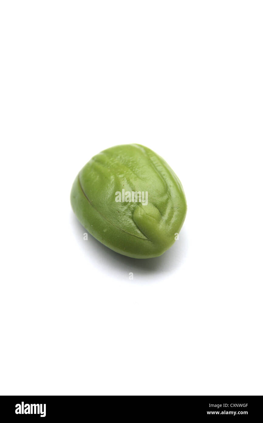 Stink beans, Bitter beans Stock Photo - Alamy