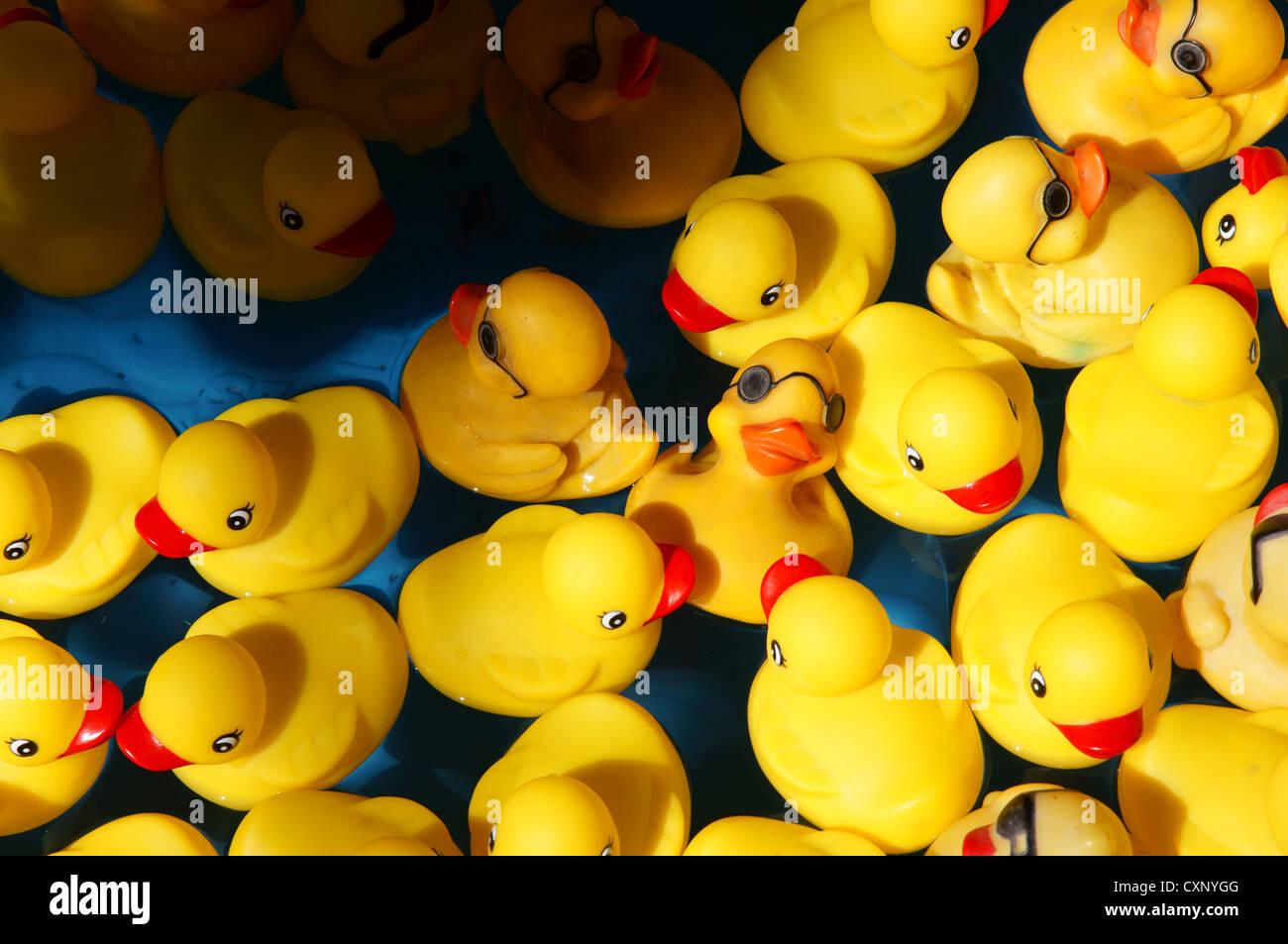 Novelty rubber ducks hi-res stock photography and images - Alamy