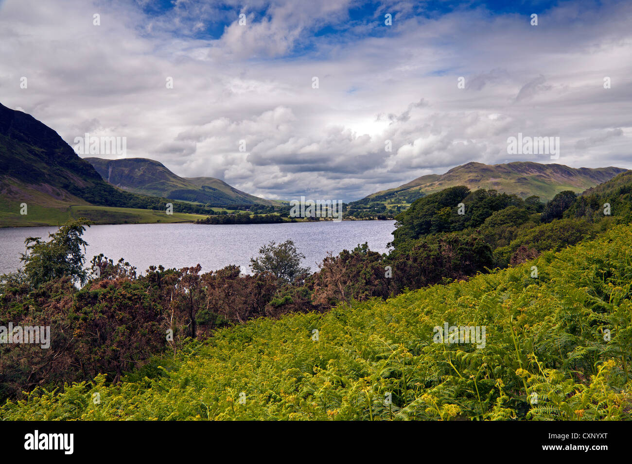 Crummock Water looking North in The Lake District National Park ...