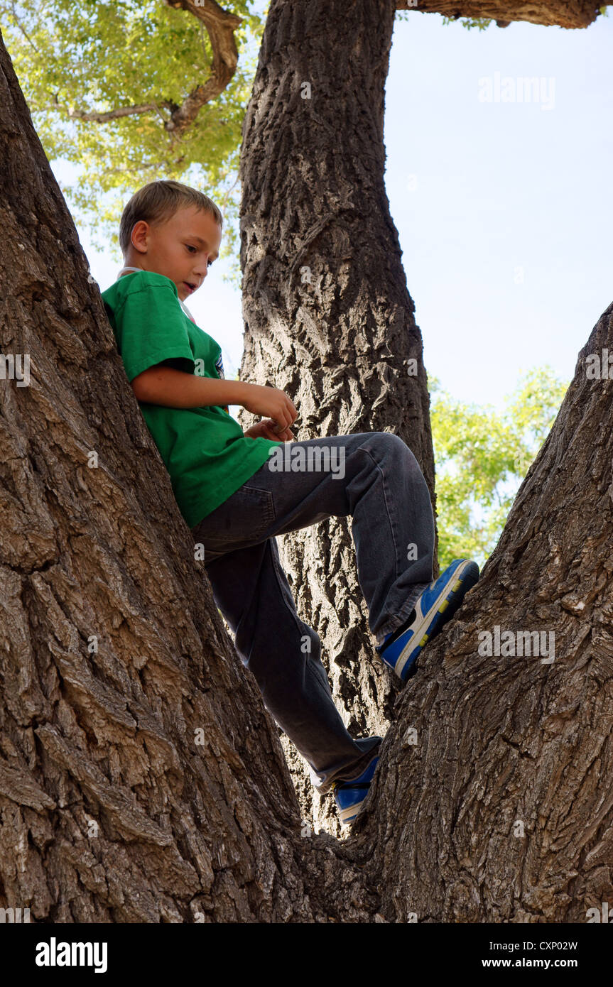 Hot And Bothered High Resolution Stock Photography and Images - Alamy