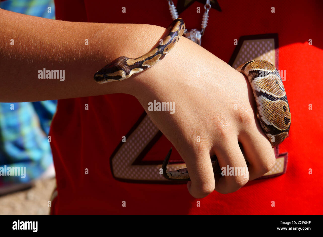 Baby Scheme High Resolution Stock Photography and Images - Alamy