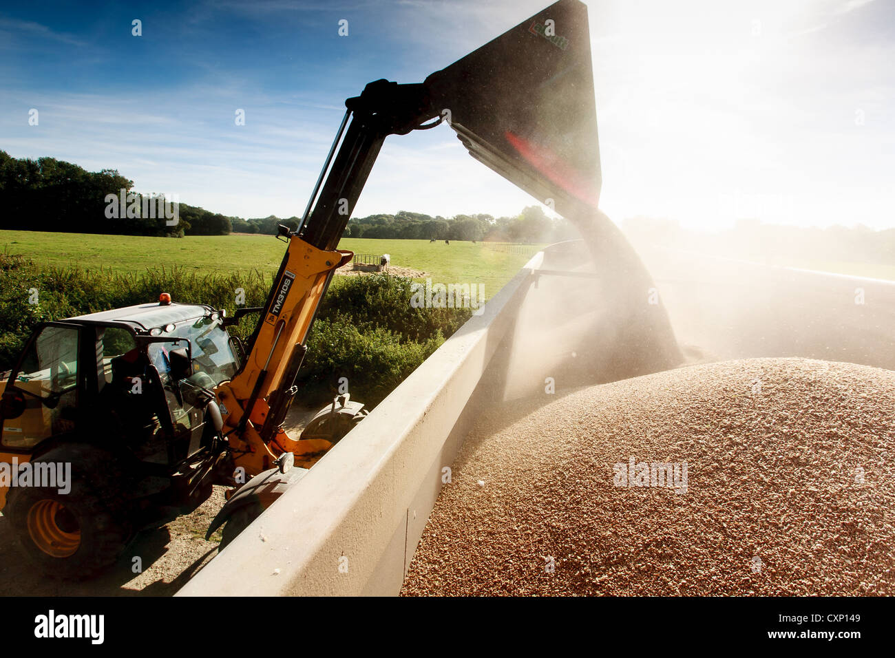 Loading grain lorry hi-res stock photography and images - Alamy