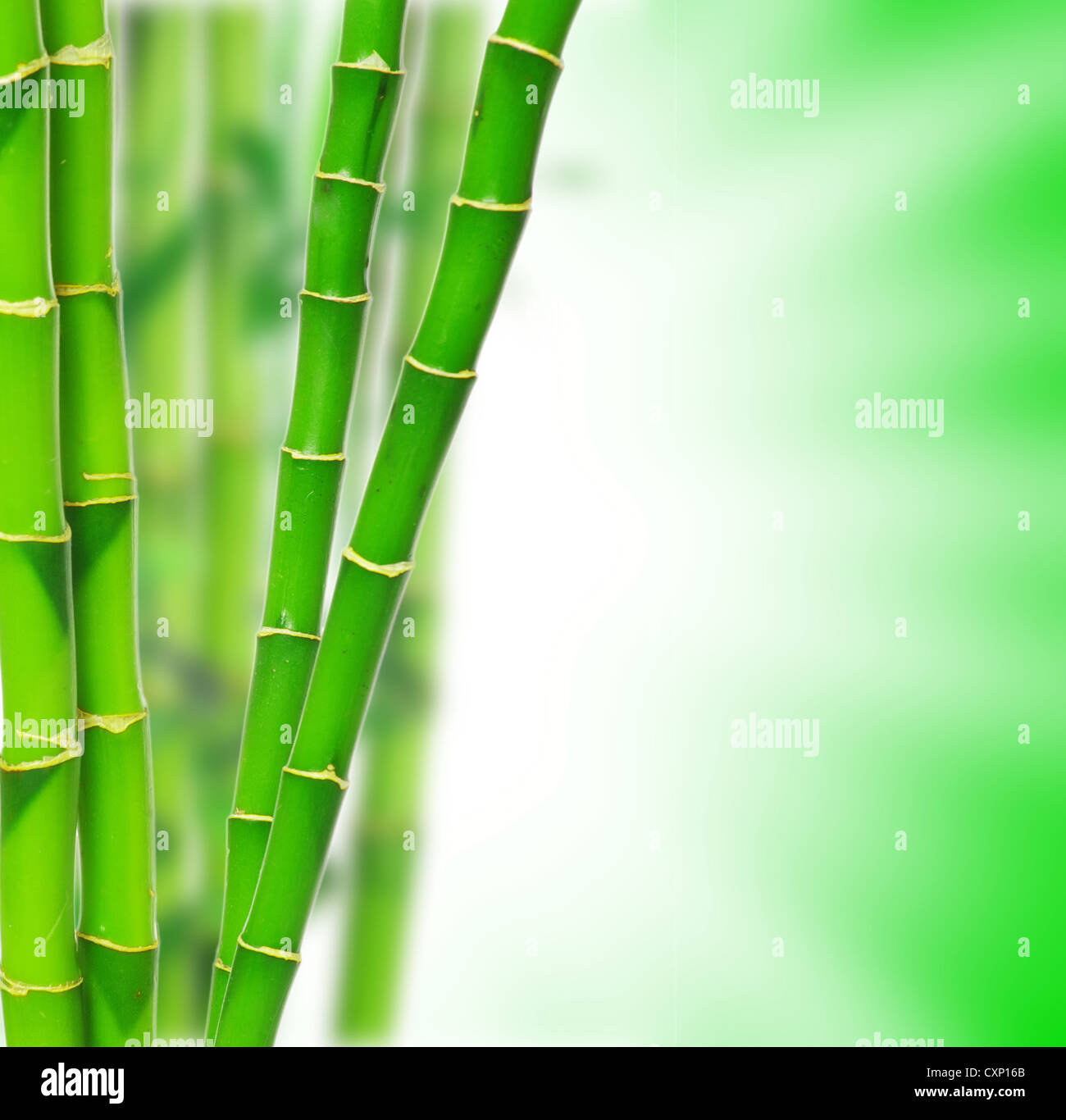 green abstract background for design Stock Photo - Alamy