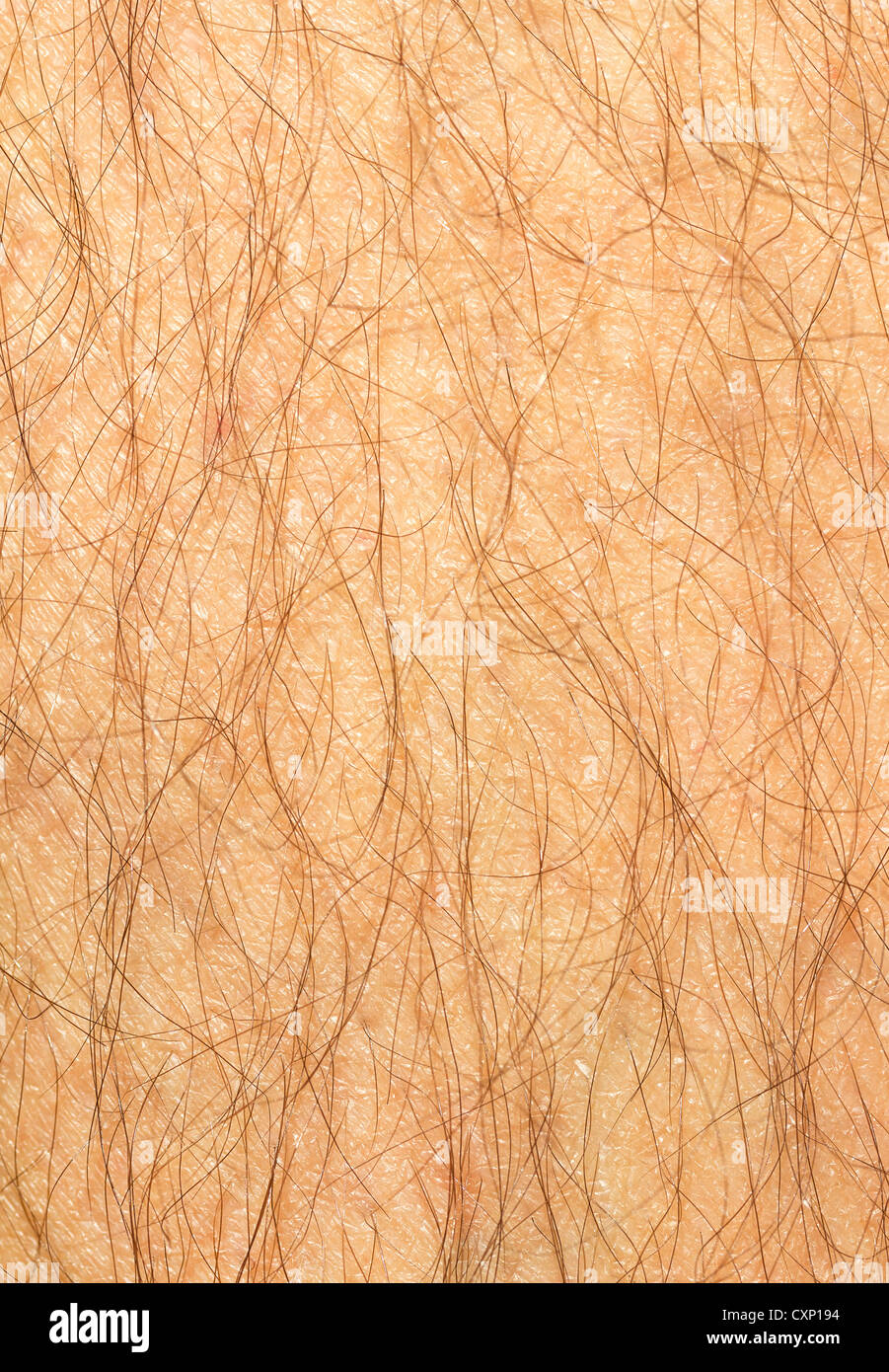 Hairy body hi-res stock photography and images - Alamy