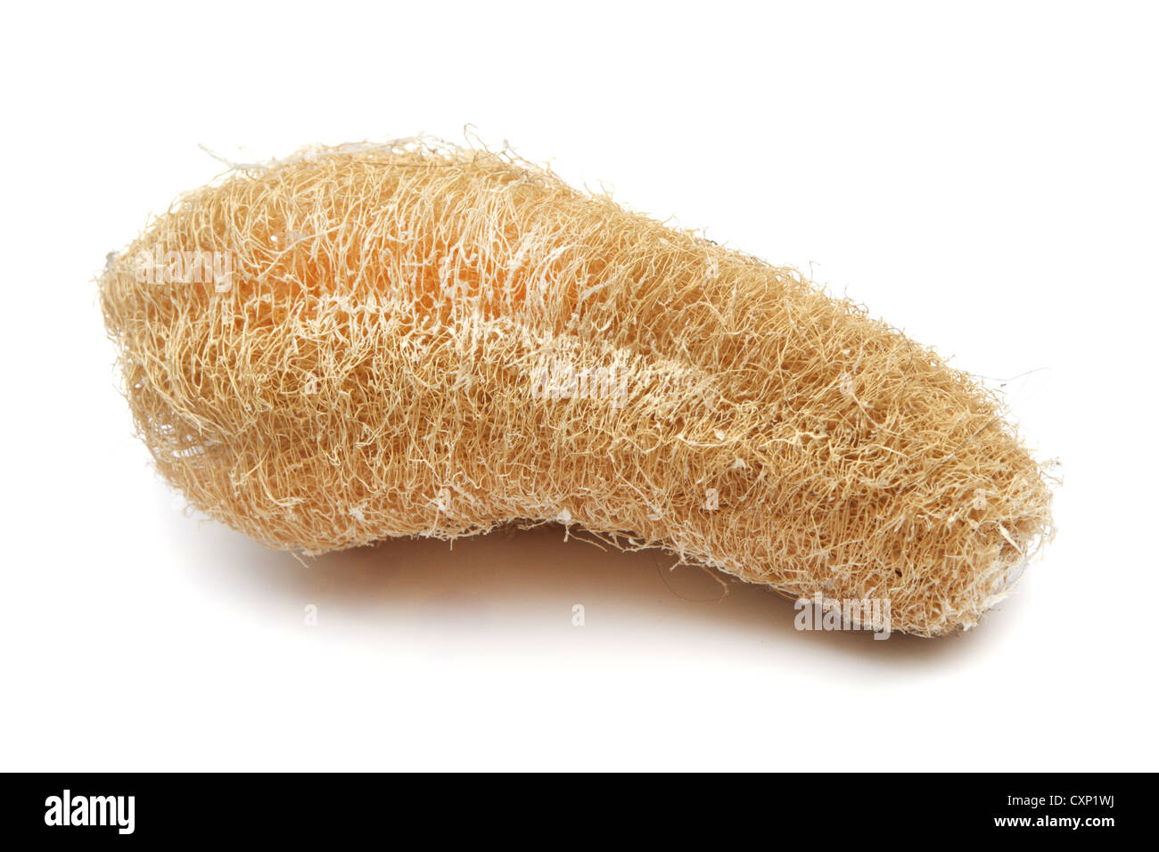 Luffa sponge hi-res stock photography and images - Alamy