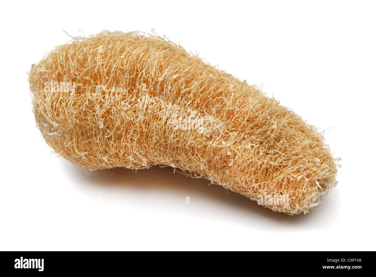 Natural Luffa sponge Stock Photo - Alamy