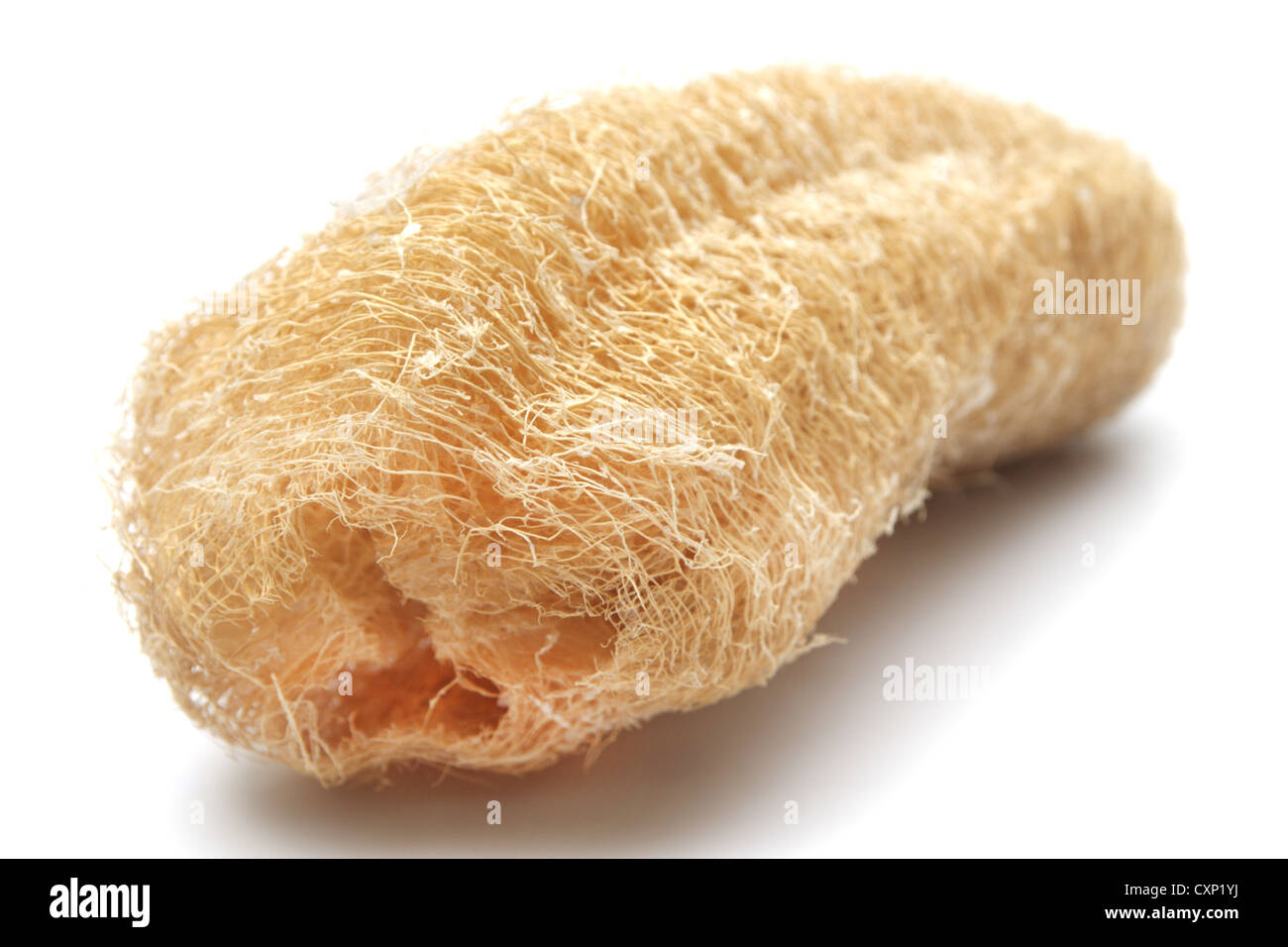 Luffa sponge hi-res stock photography and images - Alamy