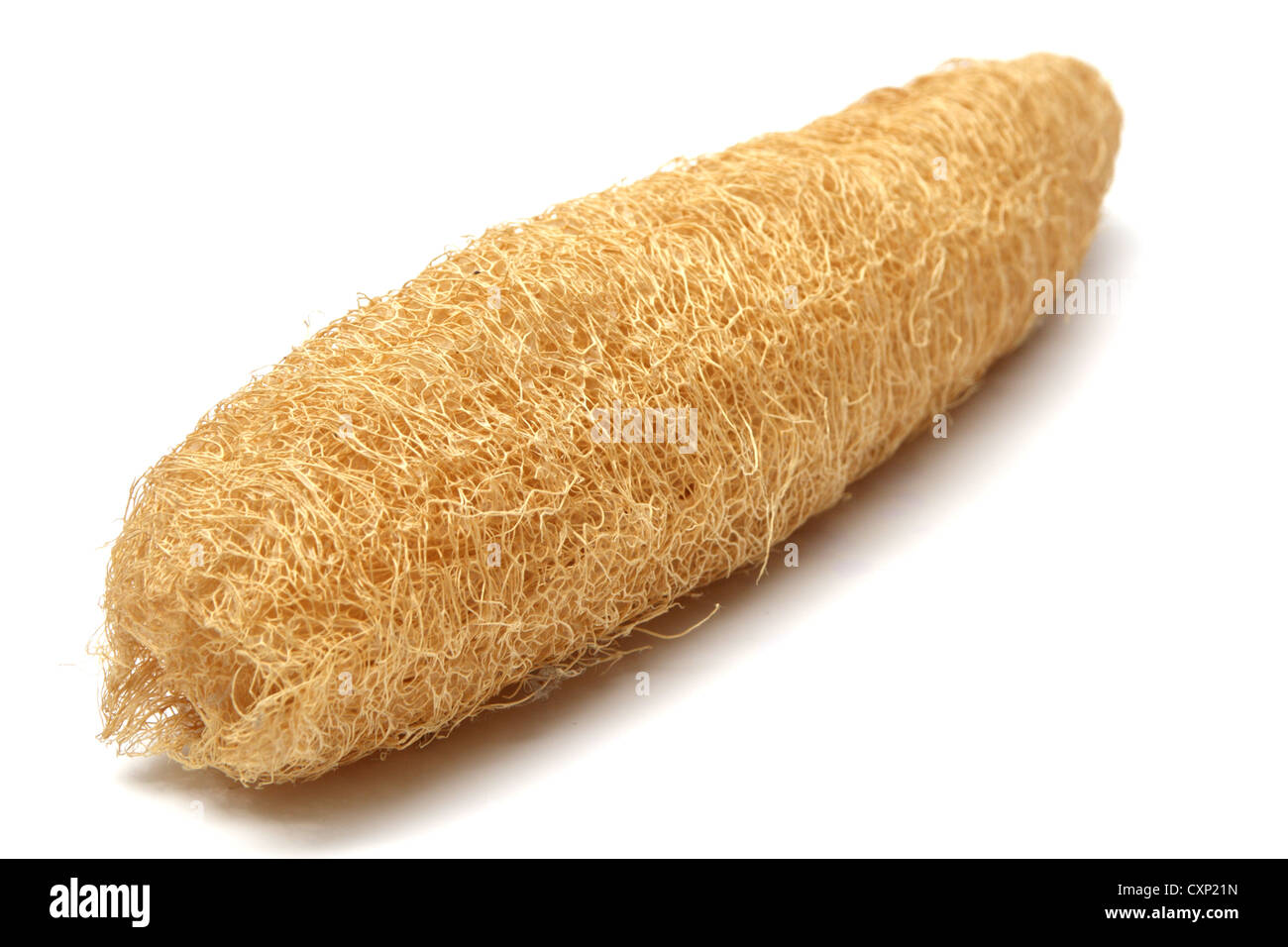 Natural Luffa sponge Stock Photo - Alamy
