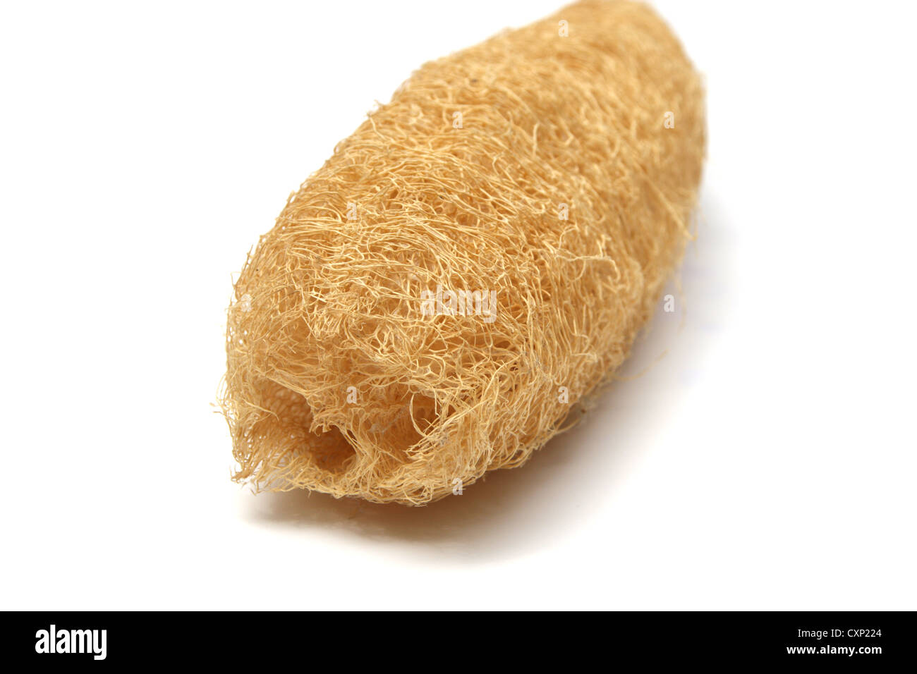 Natural Luffa sponge Stock Photo - Alamy