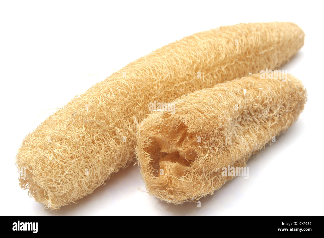 Natural Luffa sponge Stock Photo - Alamy