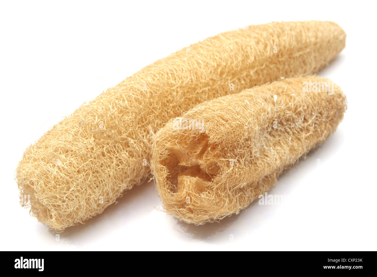 Natural Luffa sponge Stock Photo - Alamy