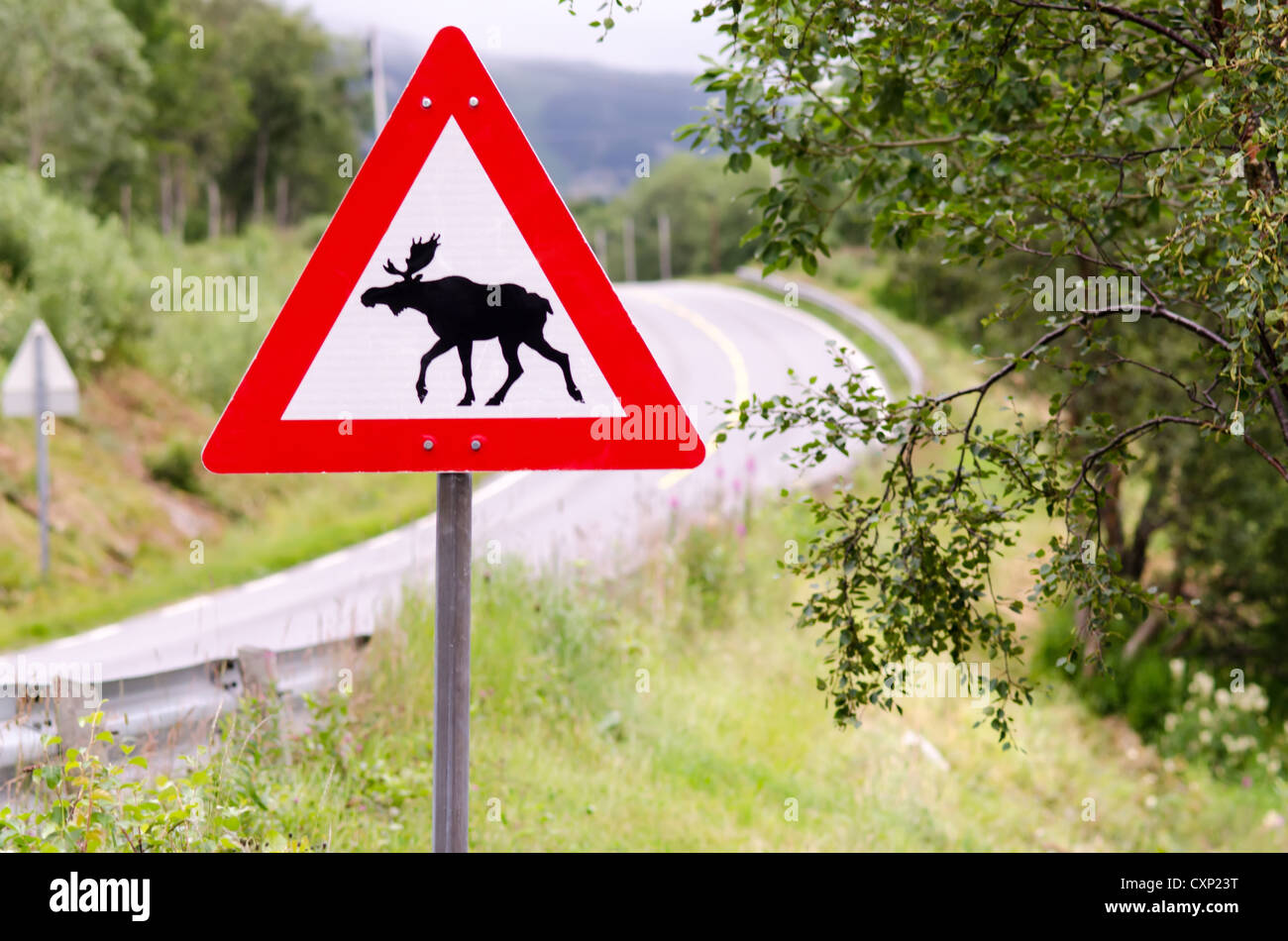 a Norwegian elk's sign at the country road Stock Photo - Alamy