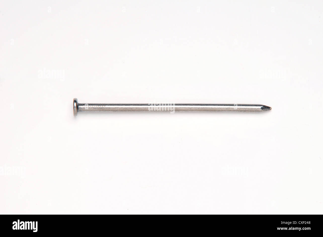 Single metal nail seen from above on white background Stock Photo - Alamy