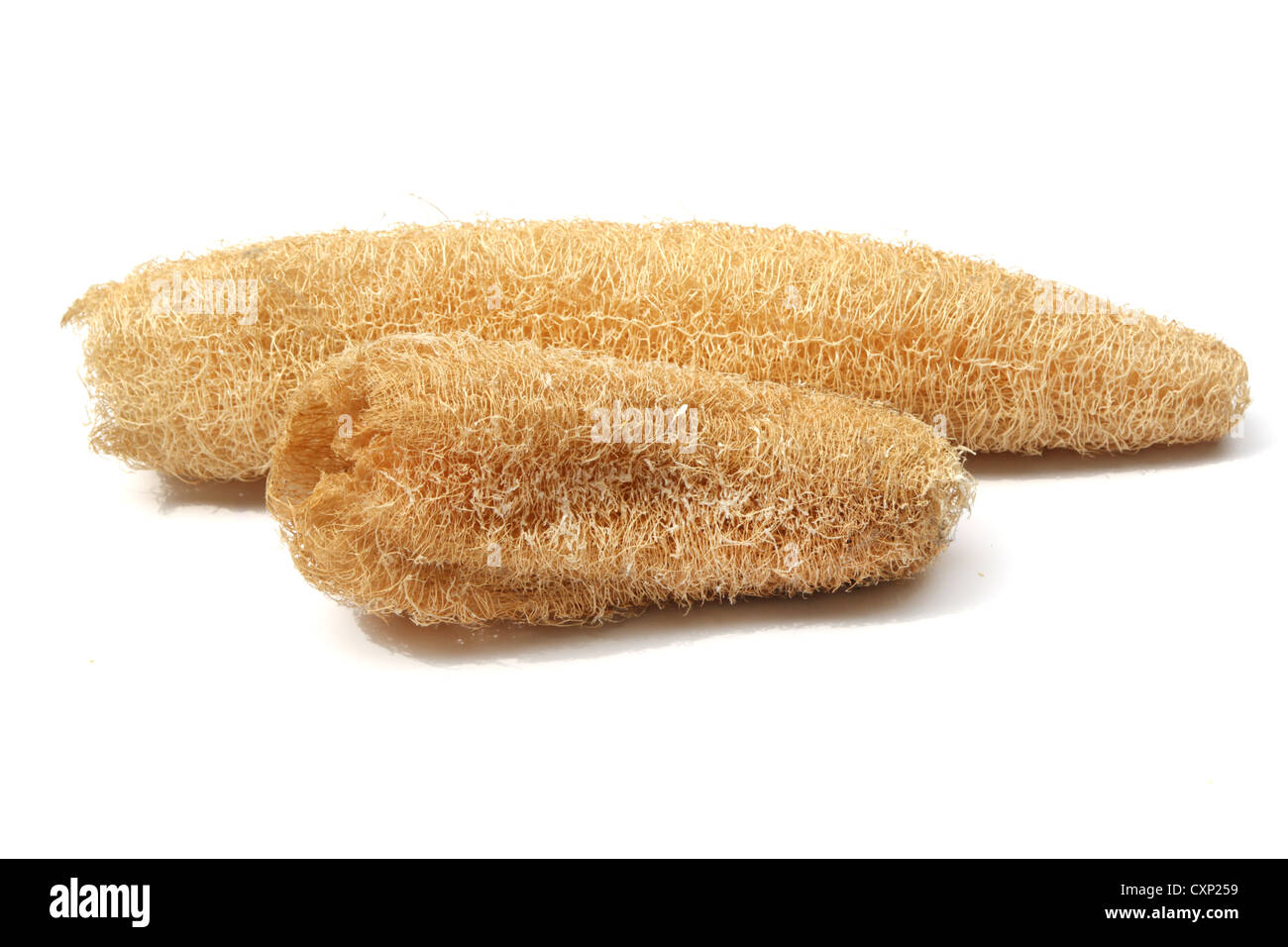Lufah sponge hi-res stock photography and images - Alamy