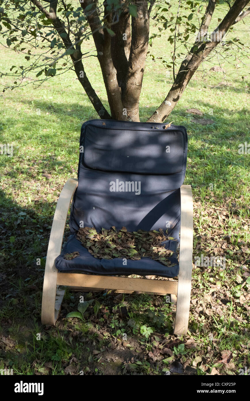 Chair of the tree hi-res stock photography and images - Alamy