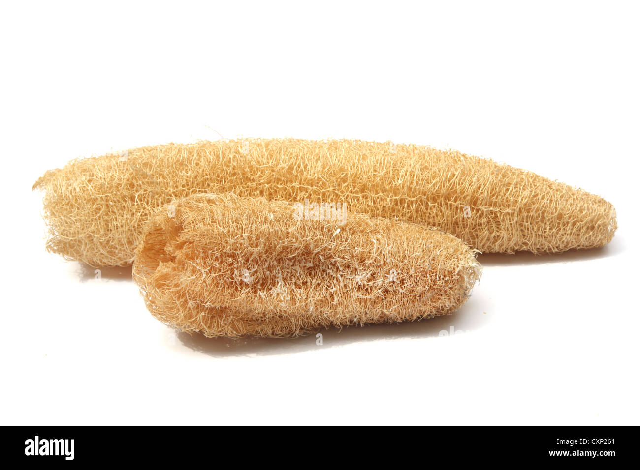 Natural Luffa sponge Stock Photo - Alamy