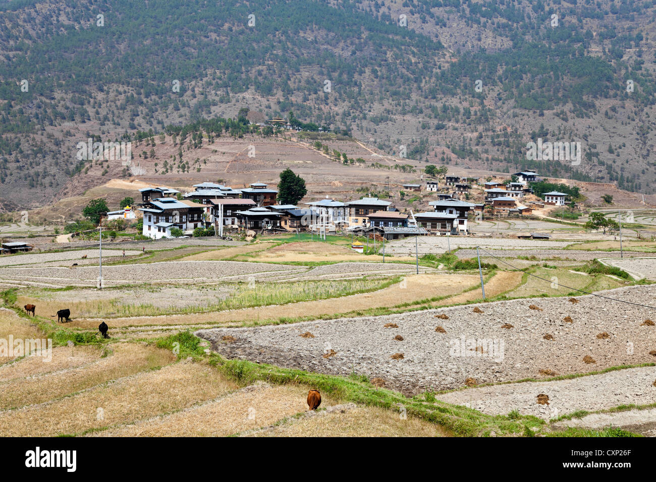 Bhutanese landscape hi-res stock photography and images - Alamy