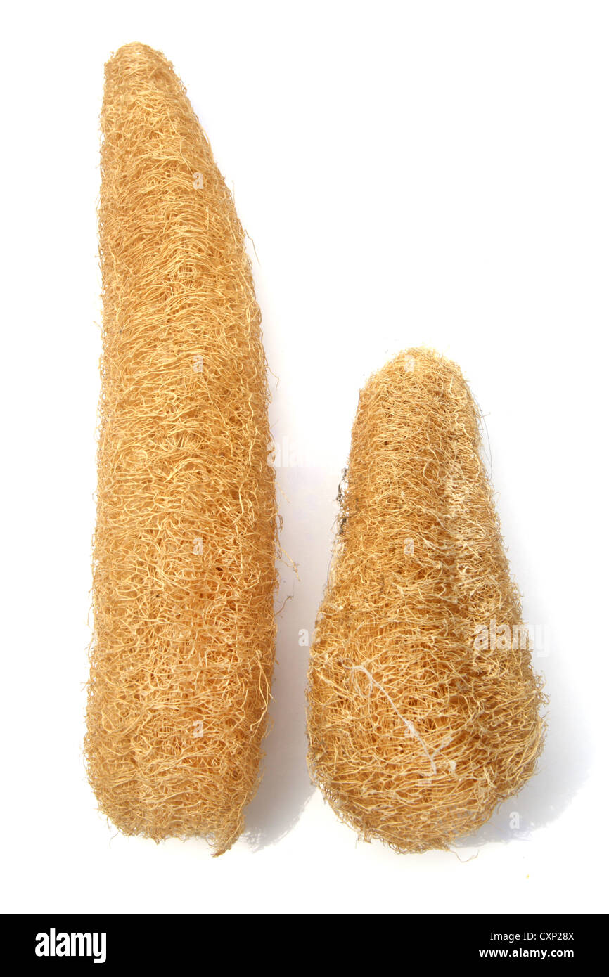 Lufah sponge hi-res stock photography and images - Alamy