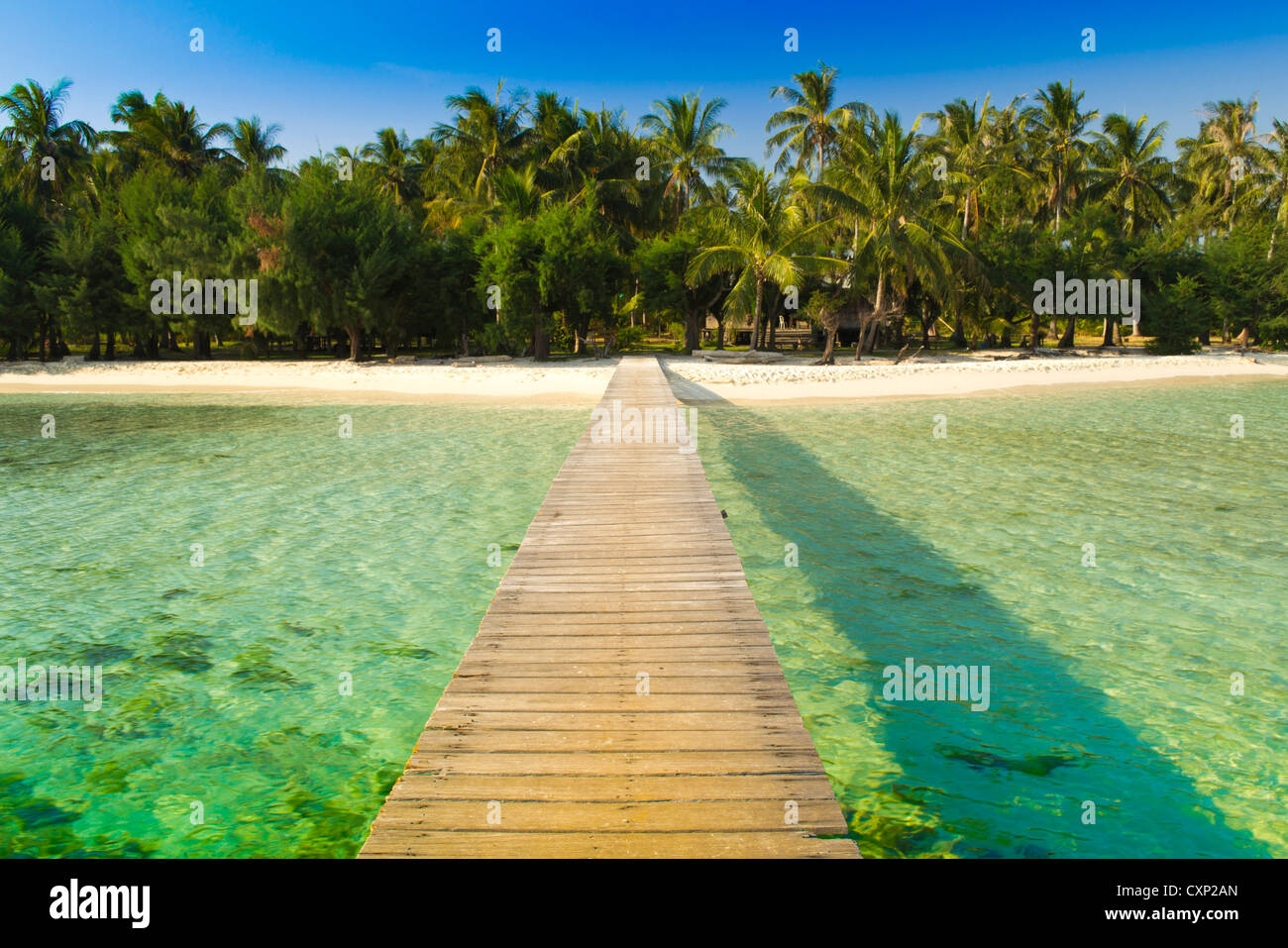 Simple coconut palm beach hi-res stock photography and images - Alamy