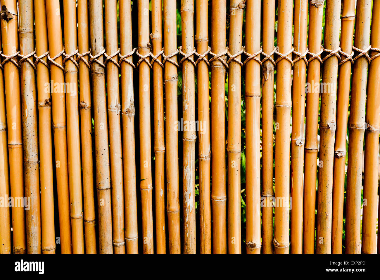 Bamboo texture hi-res stock photography and images - Alamy