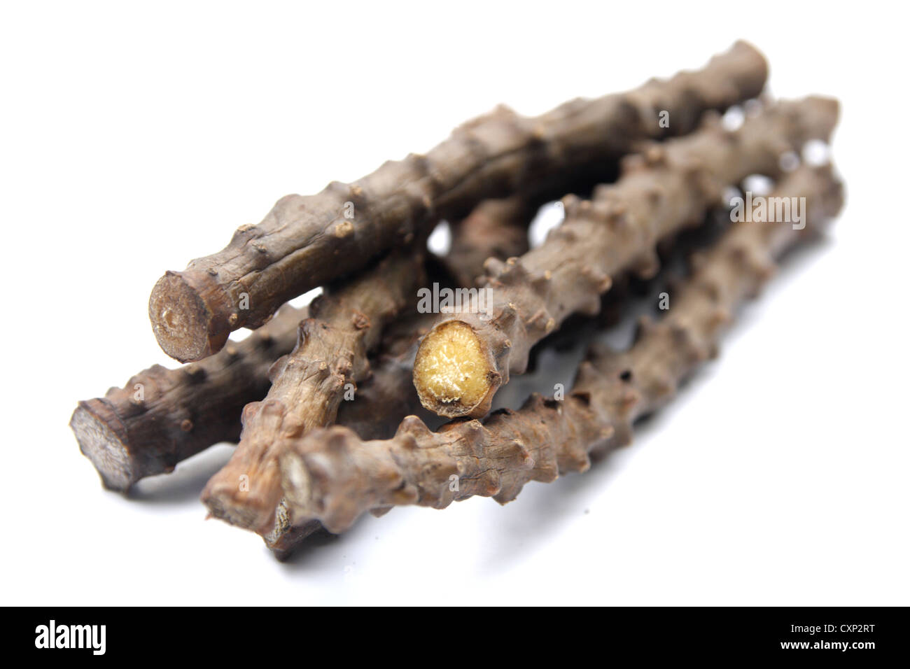 Tinospora crispa hi-res stock photography and images - Alamy