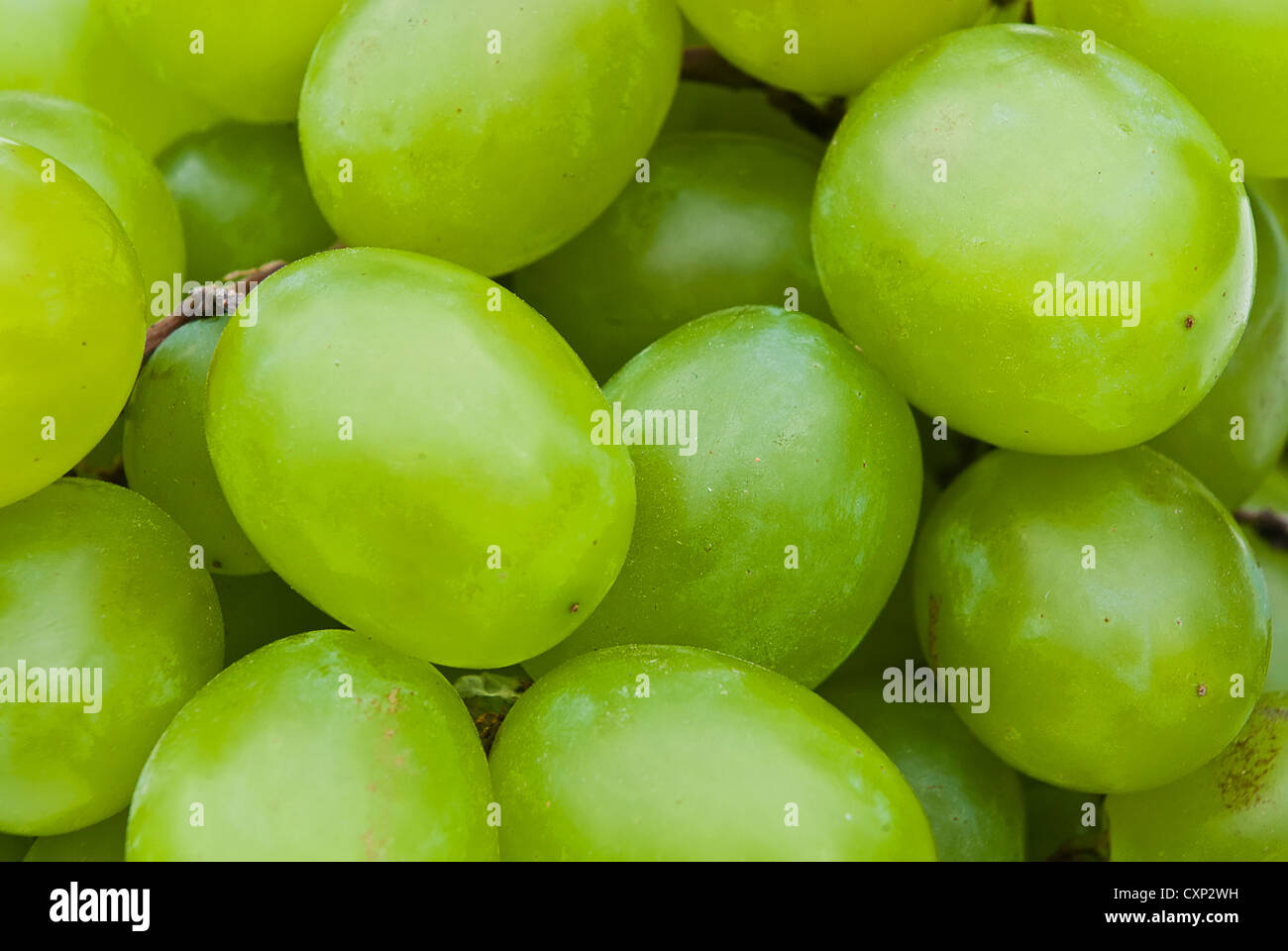 Muscat, wine closeup view Stock Photo - Alamy