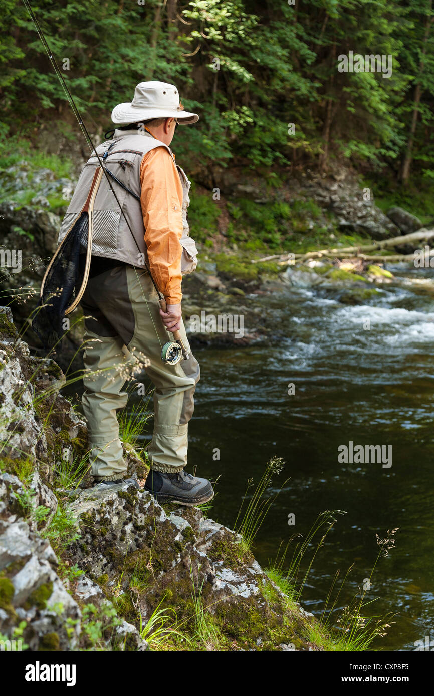 Angler spotting fish in a stream in the Giant Mountains. Czech Republic ...