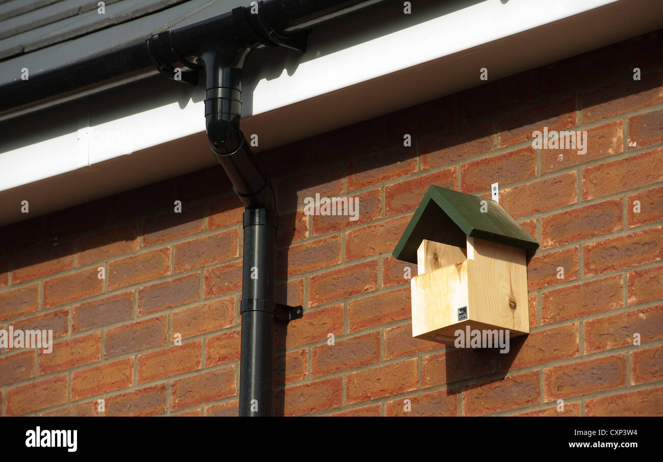 RSPB bird nesting box fixed high up to the outside of a house Stock ...