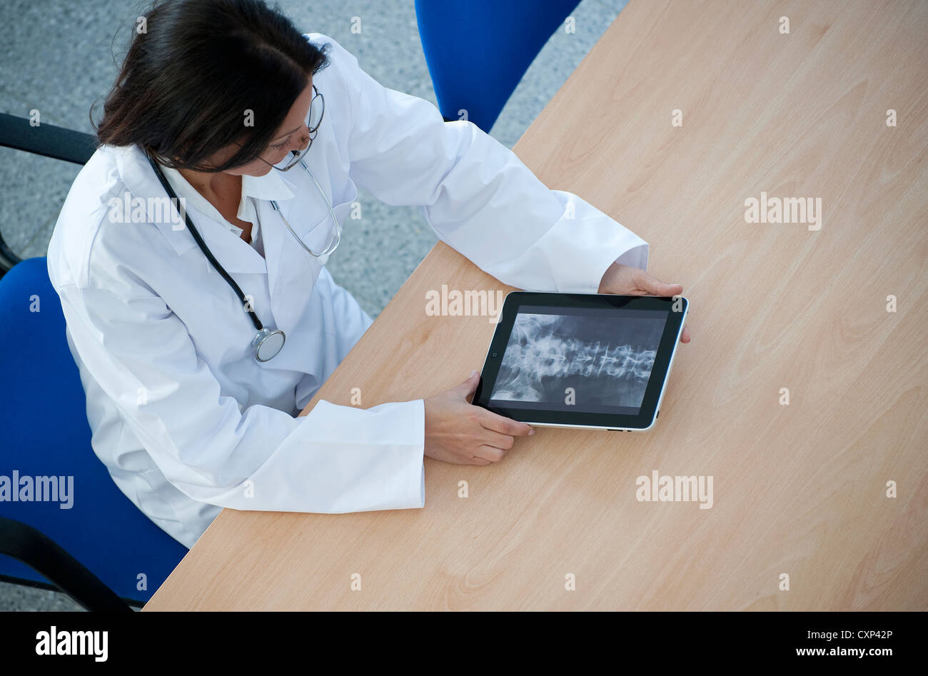 Back spine with female pelvis hi-res stock photography and images - Alamy