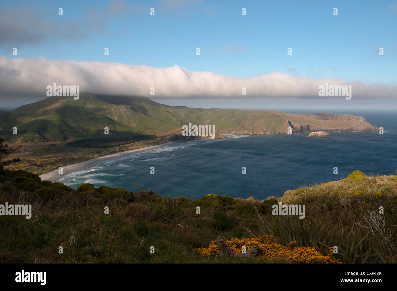 The Pacific Ocean is running on Allan's Beach at Otago Peninsula in New ...