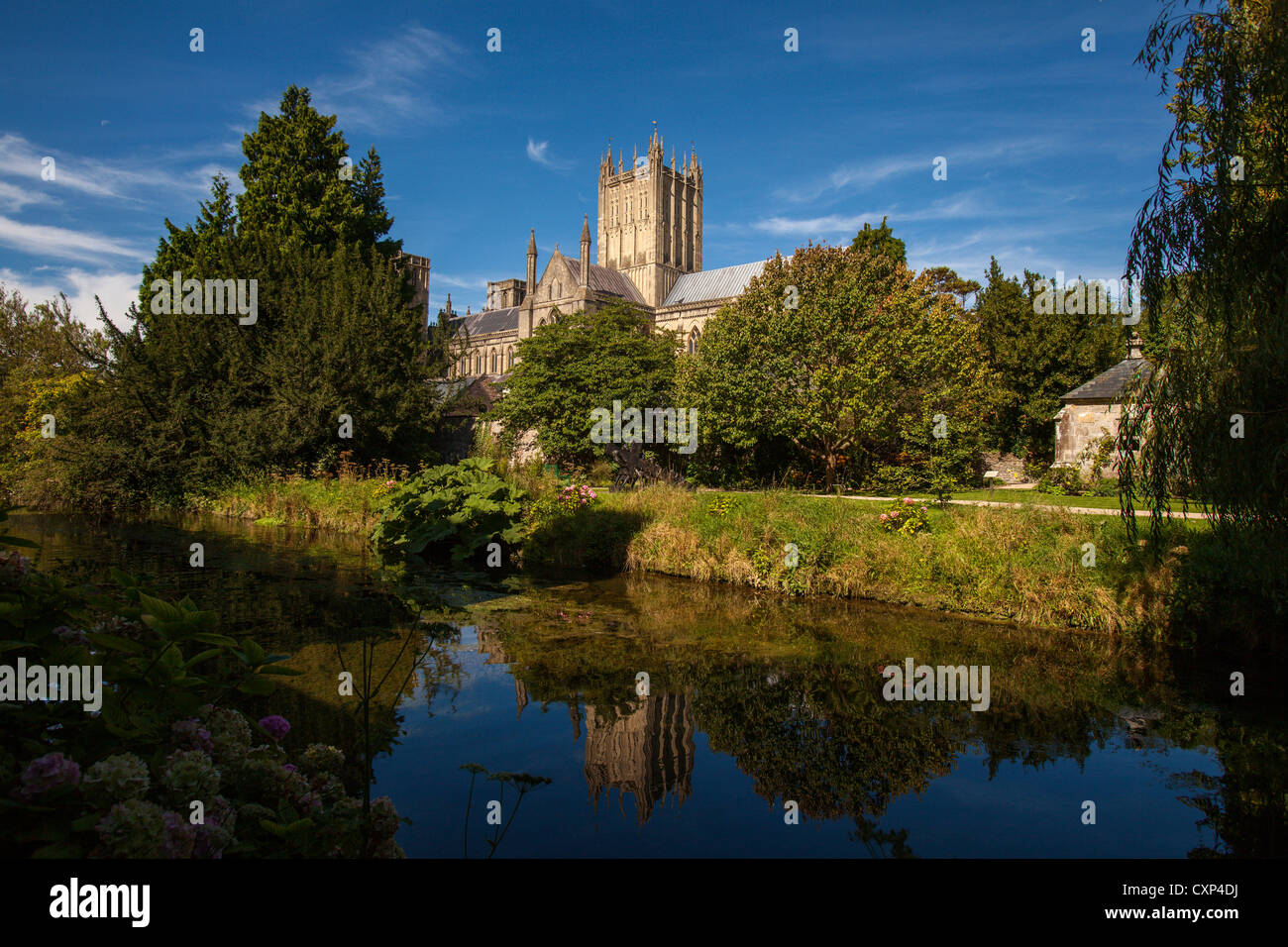 Wells City cathedral viewed from across the moat in the grounds of the ...