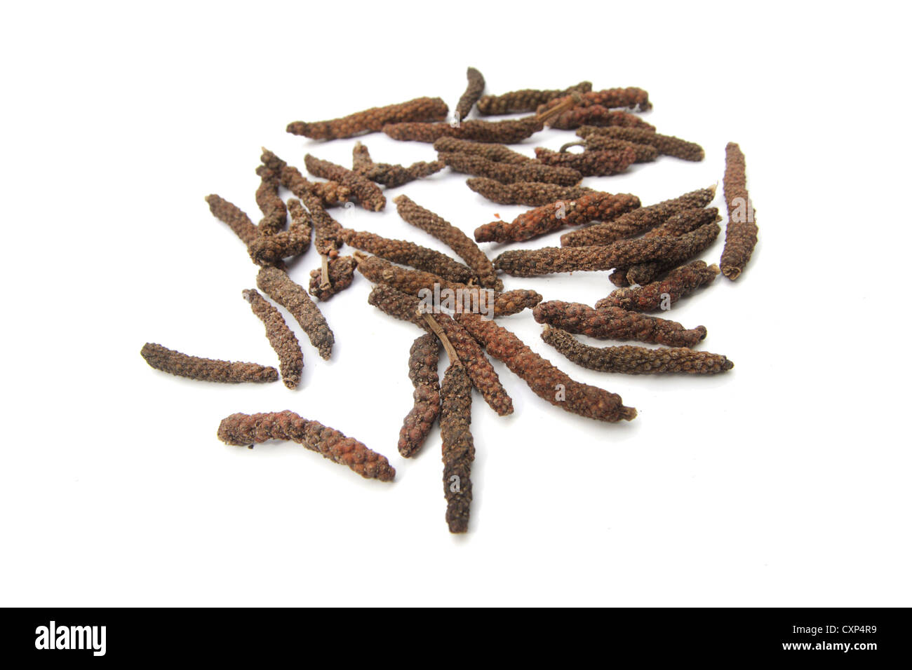 Dried long pepper catkins Stock Photo - Alamy