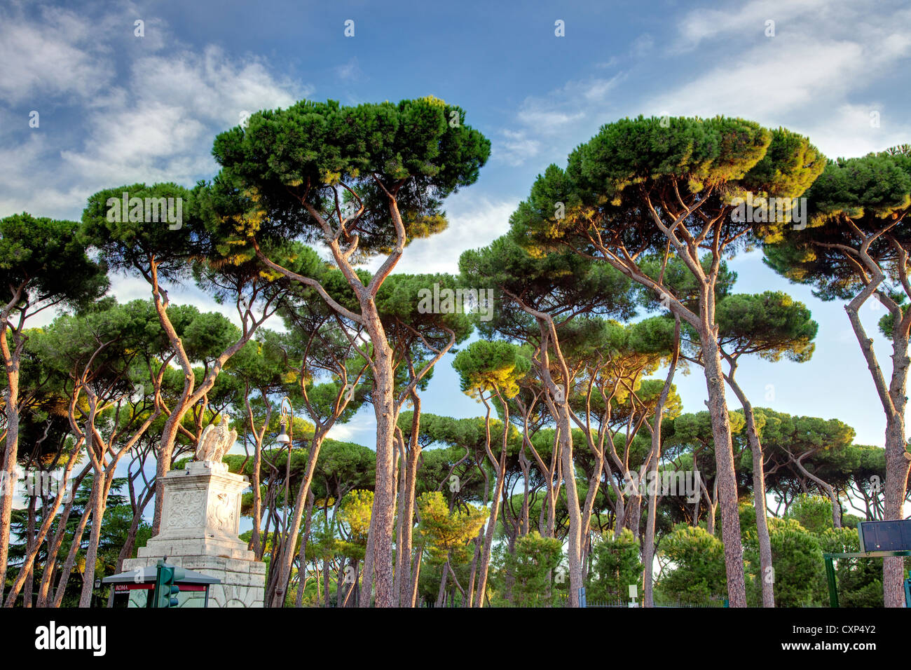 Trees in Borghese Park, Rome Italy Stock Photo - Alamy
