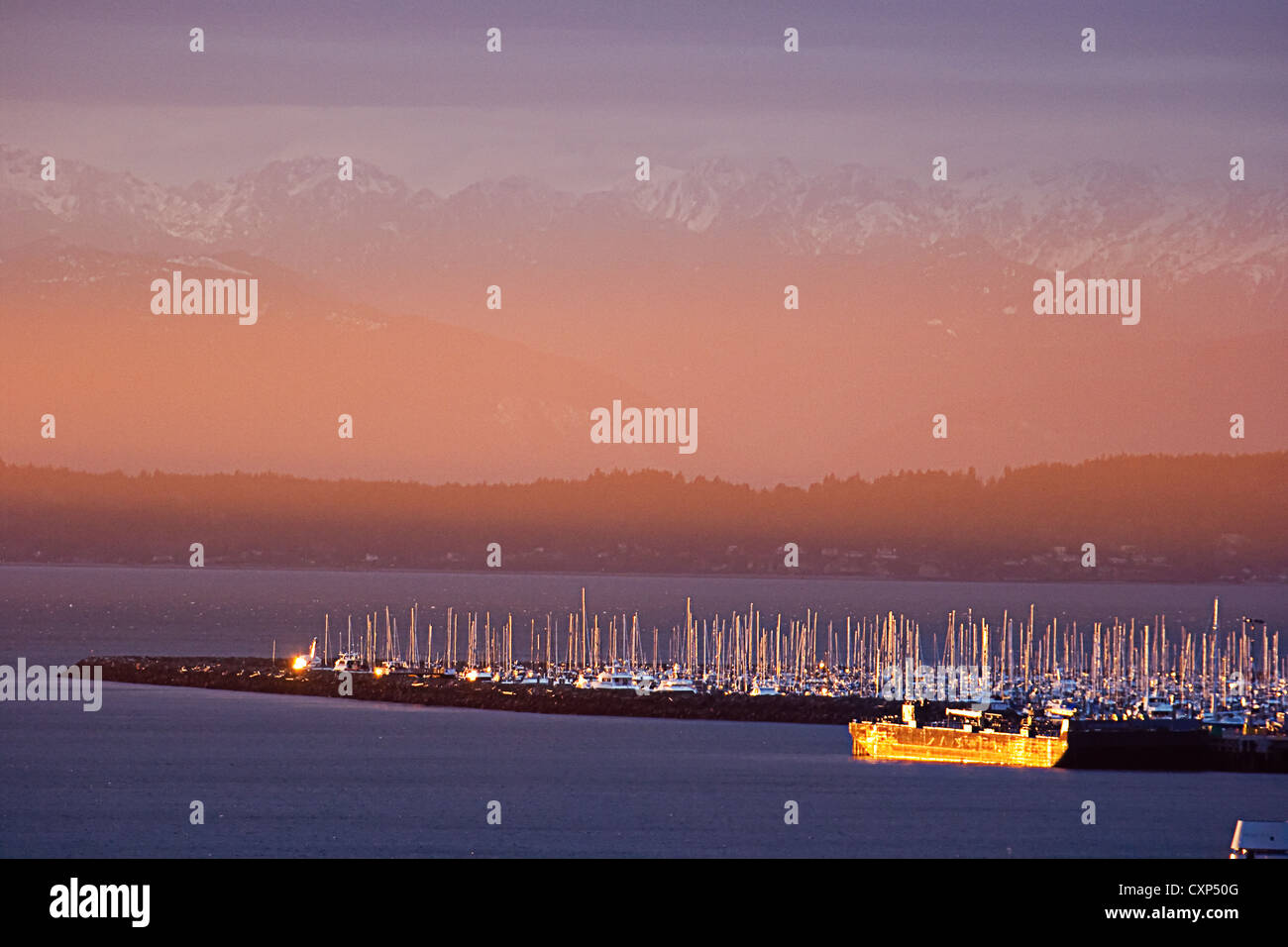 Elliot Bay Marina, Seattle Washington Stock Photo - Alamy