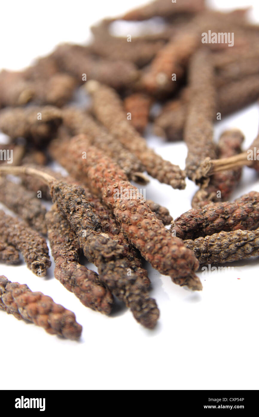 Dried long pepper catkins Stock Photo - Alamy