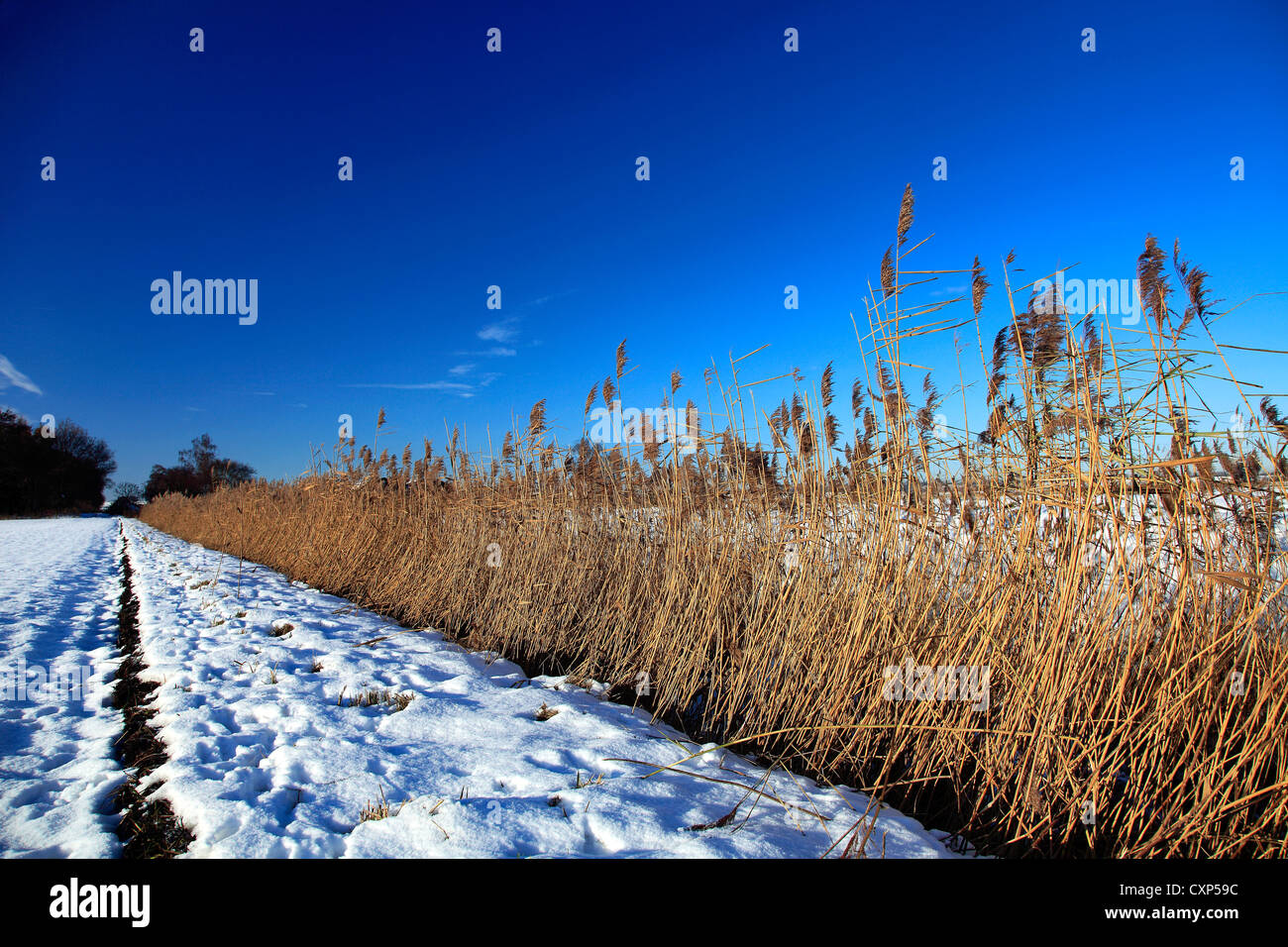Yaxley village hi-res stock photography and images - Alamy