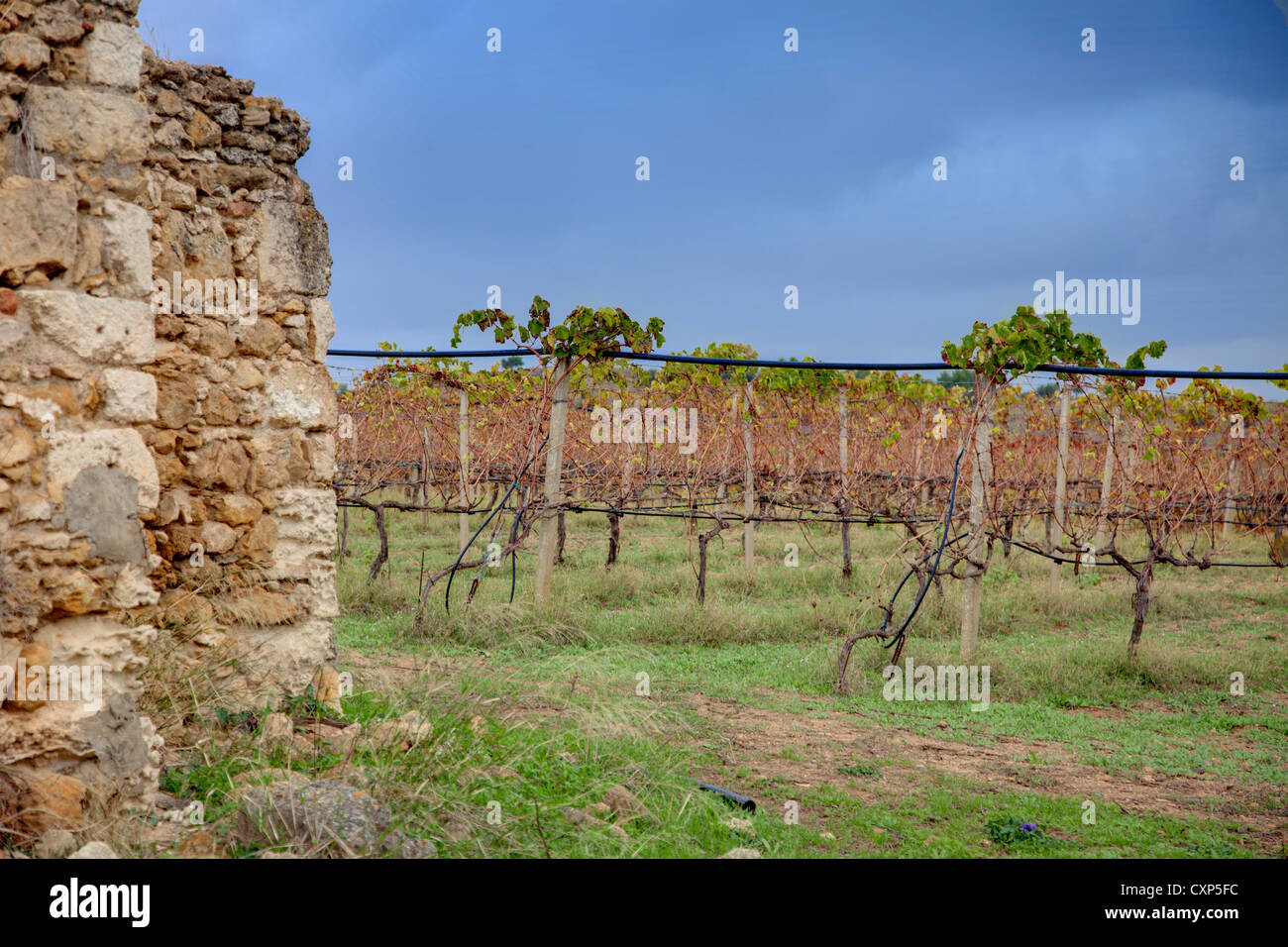 Gela hi-res stock photography and images - Alamy