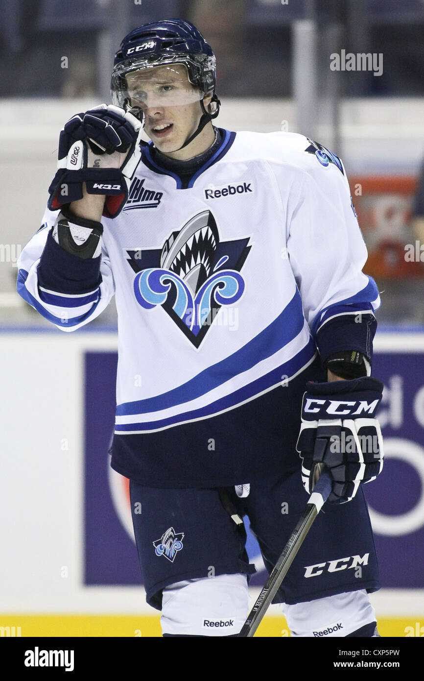 Qmjhl lhjmq hockey profile photo hi-res stock photography and images ...