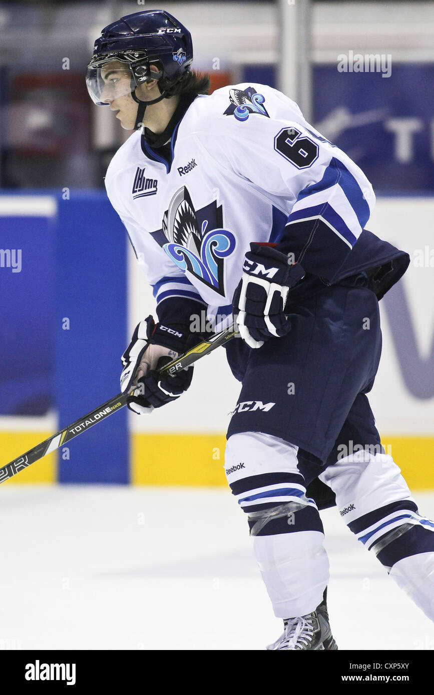 Qmjhl lhjmq hockey profile photo hi-res stock photography and images ...