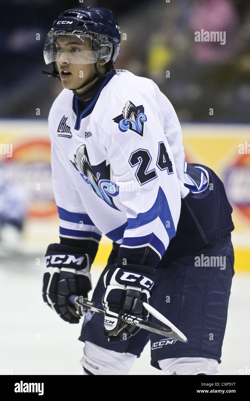 Qmjhl lhjmq hockey profile photo hi-res stock photography and images ...