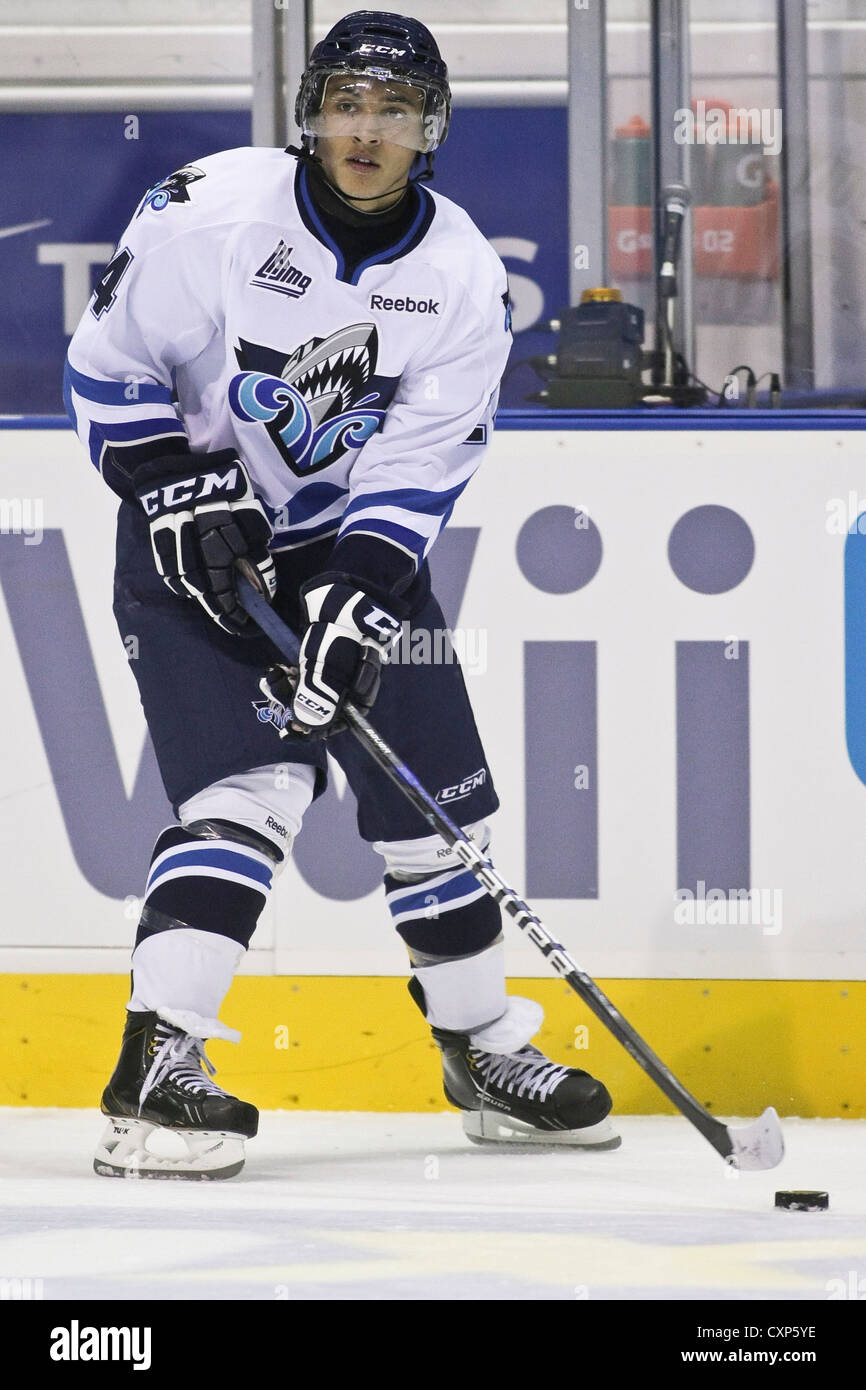 Qmjhl lhjmq hockey profile photo hi-res stock photography and images ...